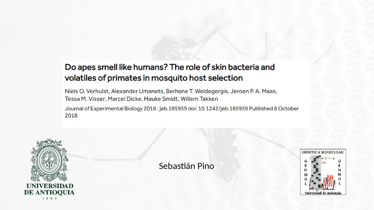 Cómo Los Mosquitos Nos Perciben Slides De Sciences Génétiques Docsity