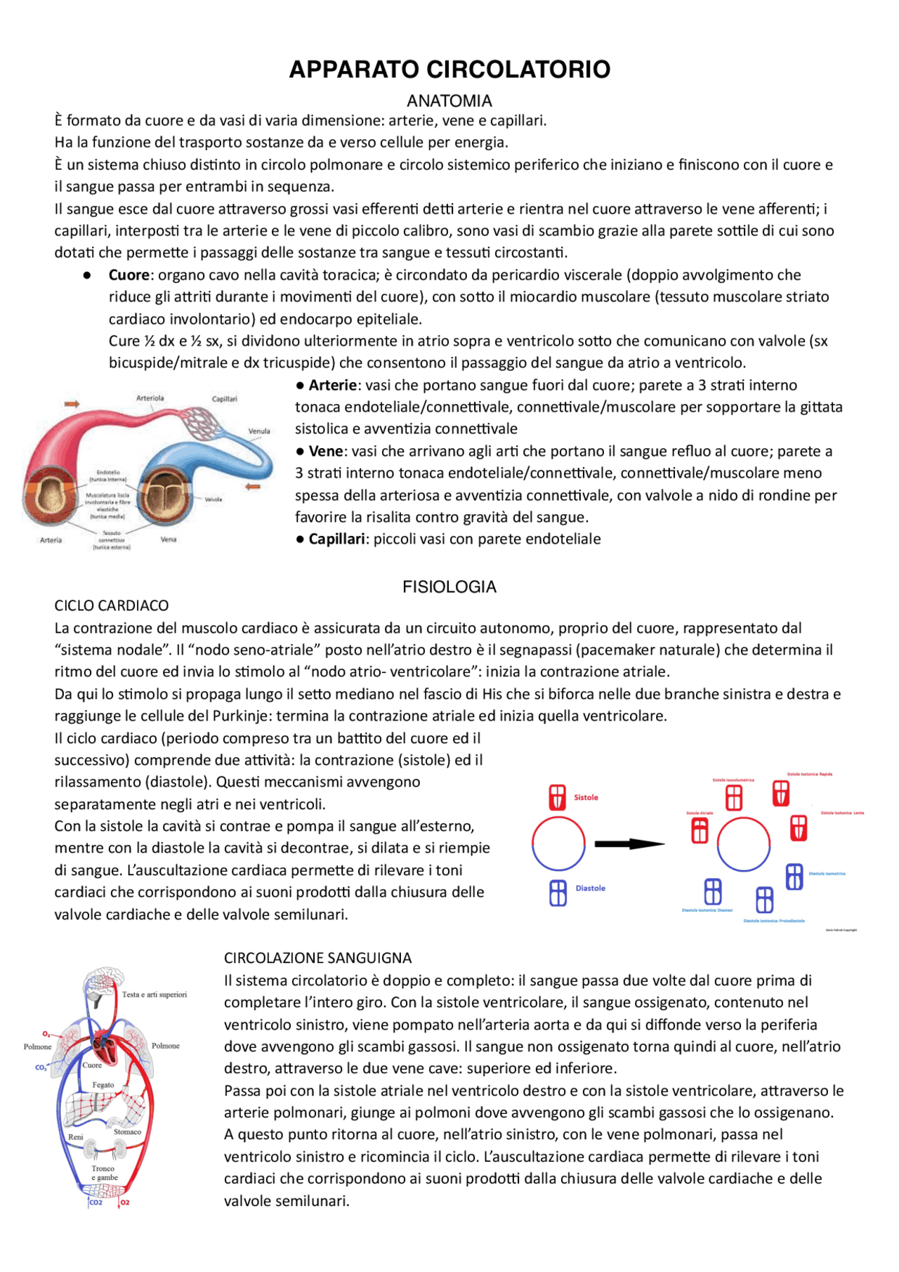Apparato Circolatorio Docsity