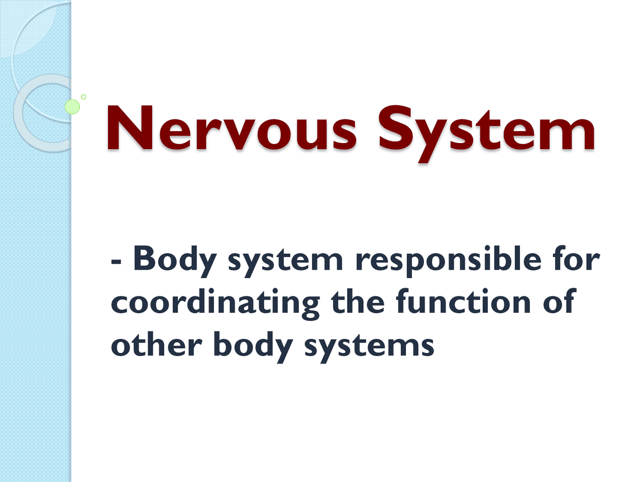 Central Nervous System | Lecture notes Biology | Docsity
