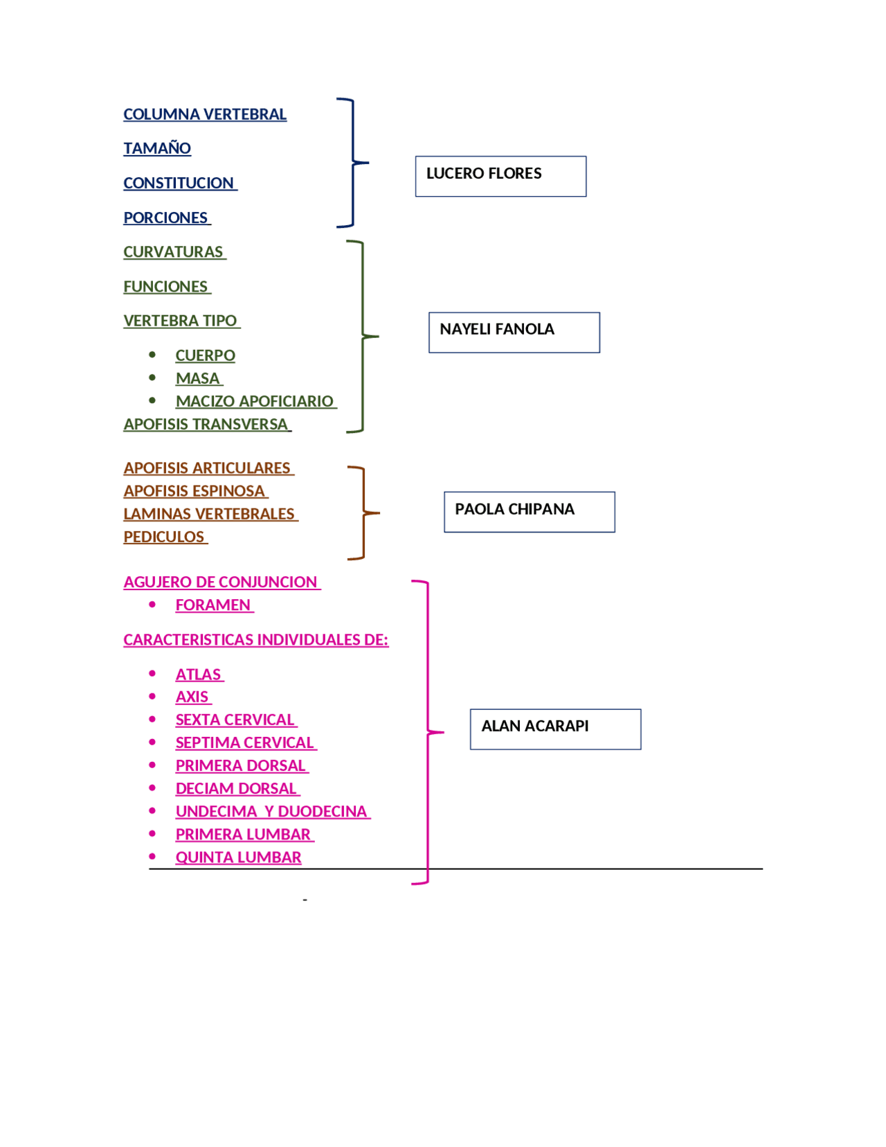 Columna Vertebral Anatomía Humana Docsity