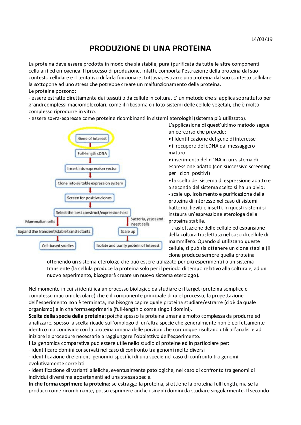 Espressione eterologa di proteine - Docsity