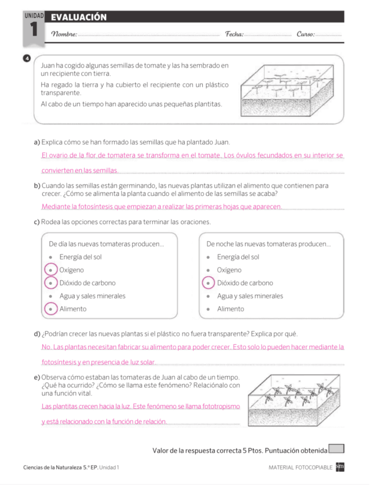 Examen tema 1 naturales 5º primaria sm (2) | Exámenes de Ciencias de la ...