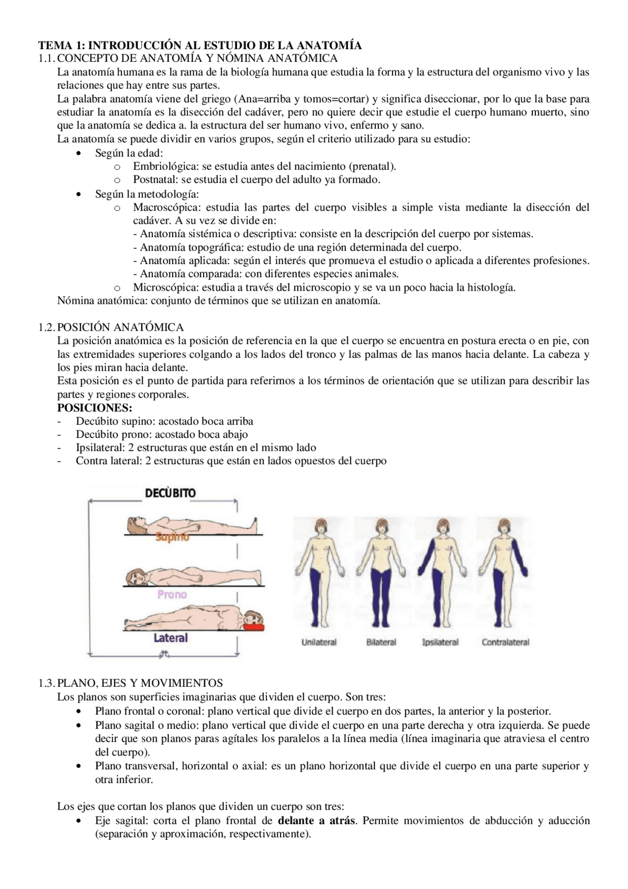 Apuntes Anatomía Ulpgc Docsity