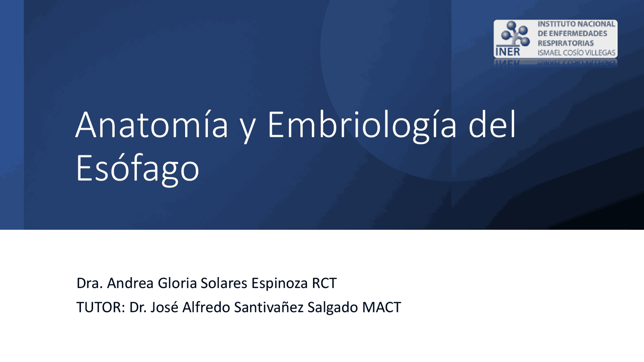 Resumen en presentación de power point de anatomia y embriologia del ...