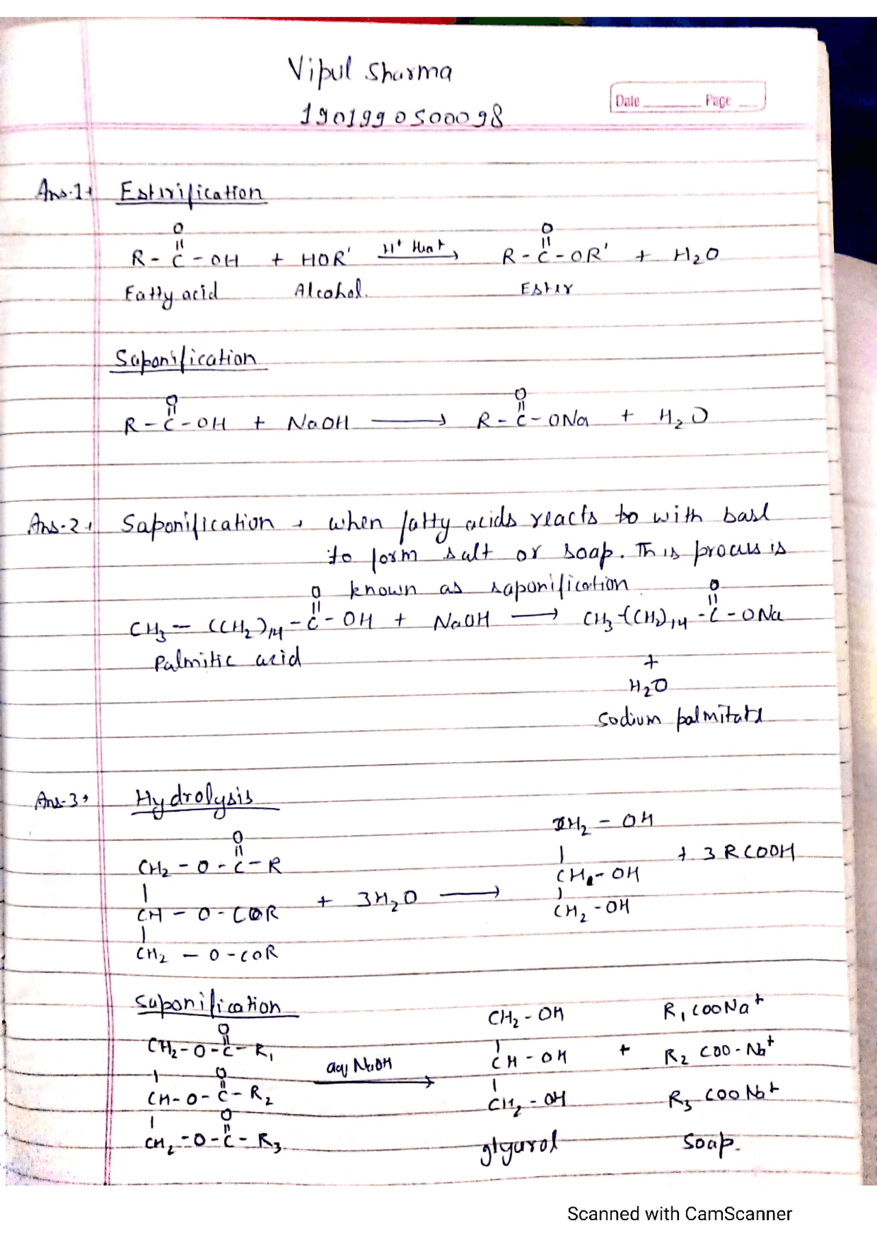 Assignment Of Organic Chemistry Docsity