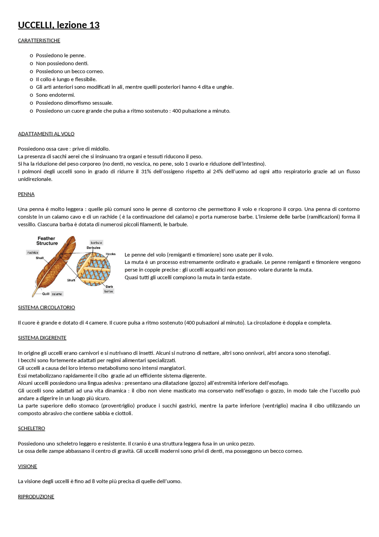 Riassunto Dellargomento Uccelli Docsity