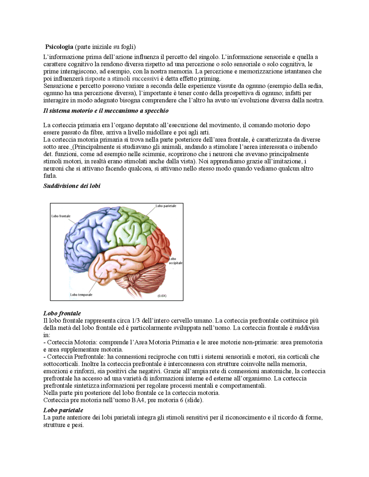 Appunti Profssa Di Dio Scienze Motorie Primo Anno Docsity