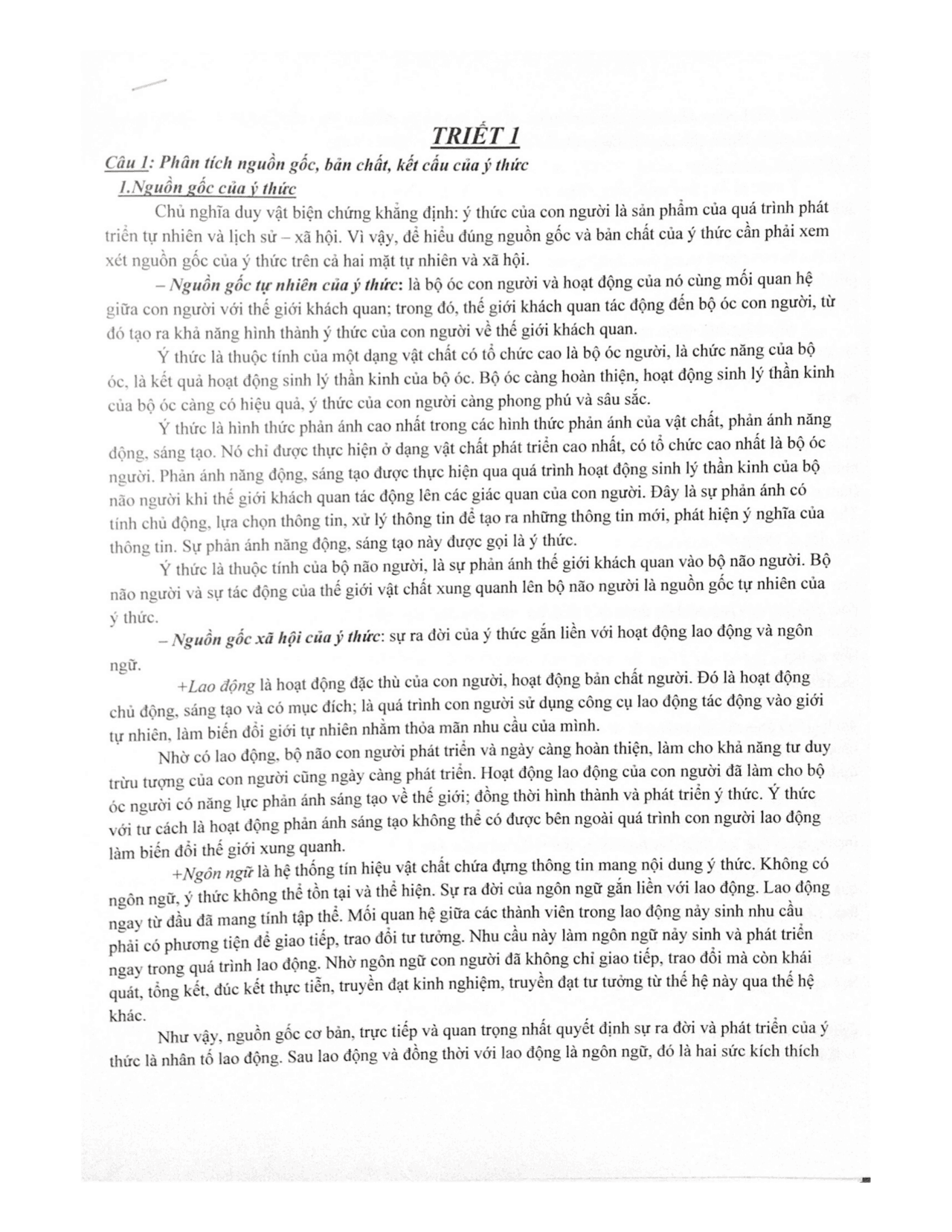 Logic Examination And Answers For It Docsity