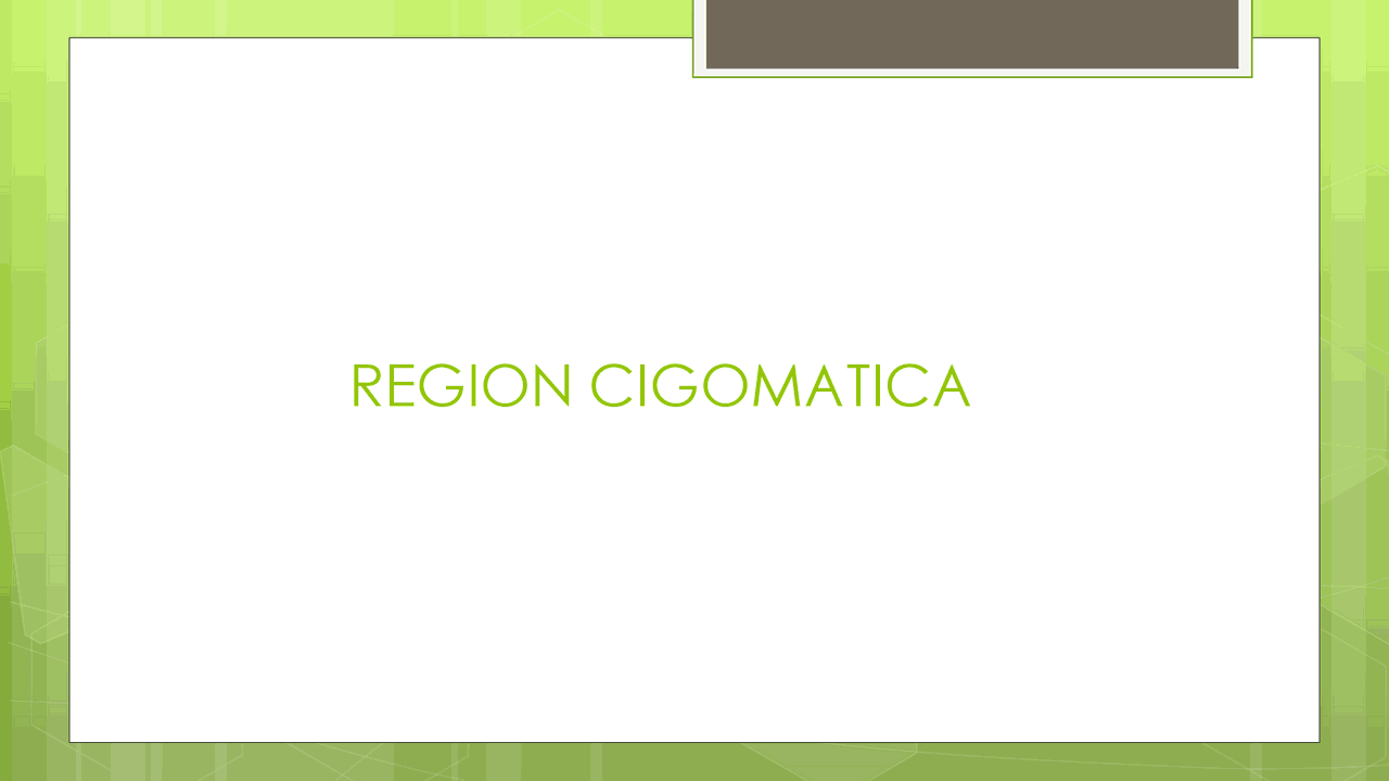 ANATOMIA - REGION CIGOMATICA - Docsity