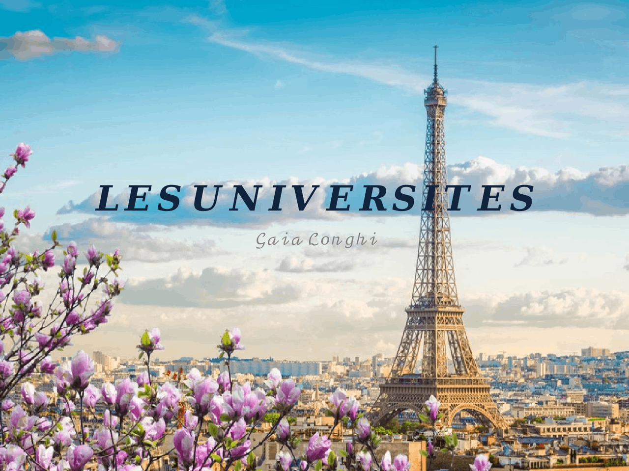 Les Universites Power Point In Francese Docsity