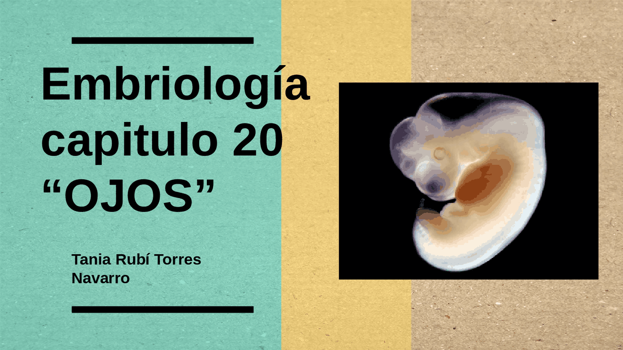 Embriología del ojo/oftálmica. - Docsity