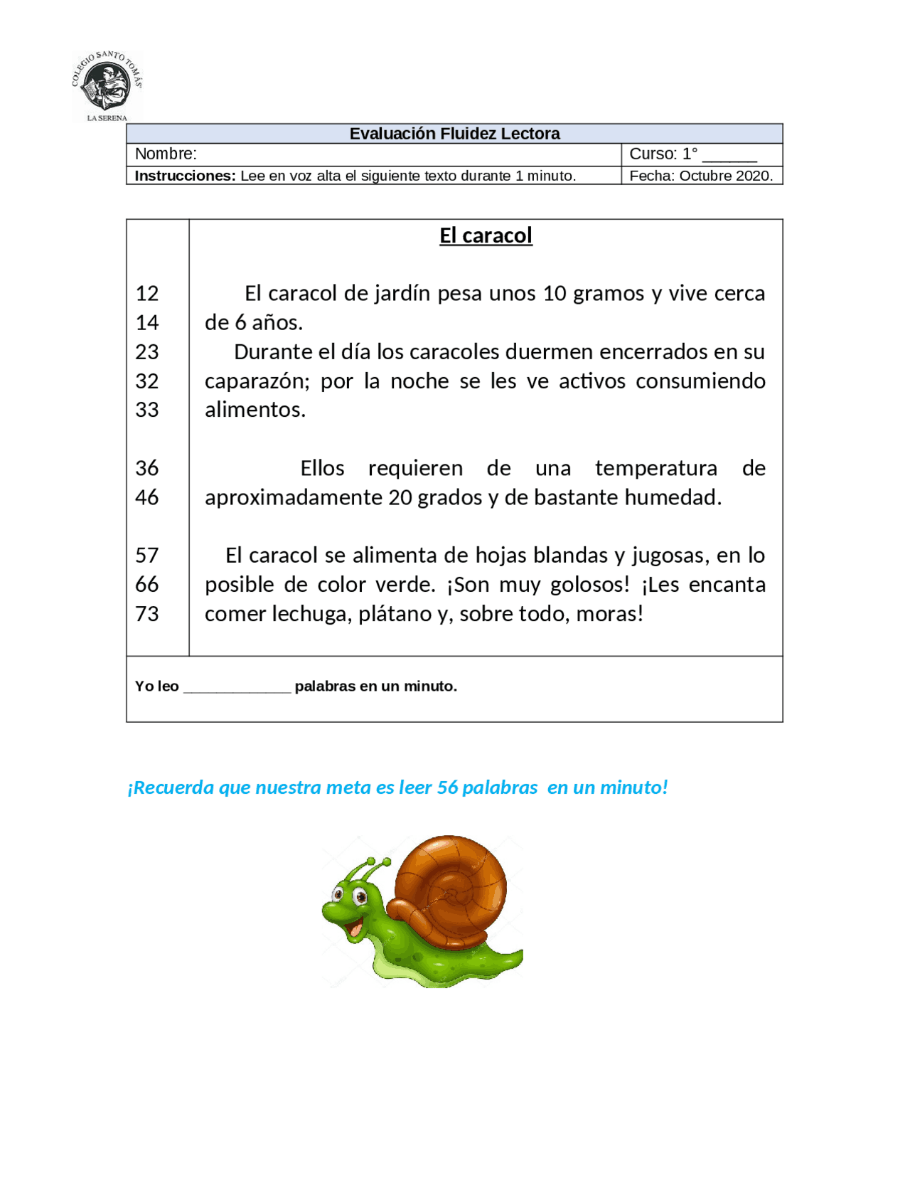 LECTURA FLUIDEZ LECTORA - Docsity