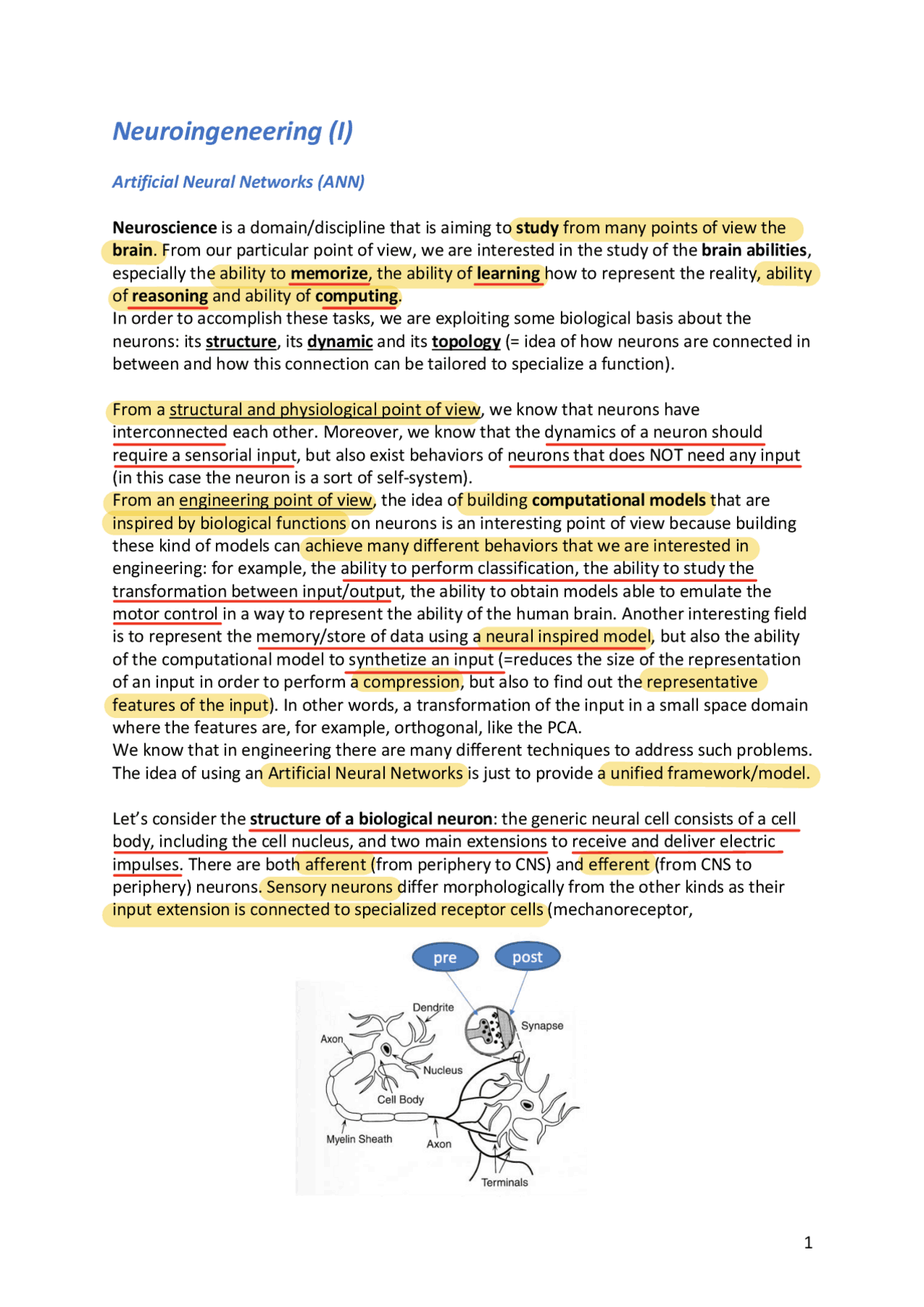 NEUROENGINEERING PARTE 1 - Docsity