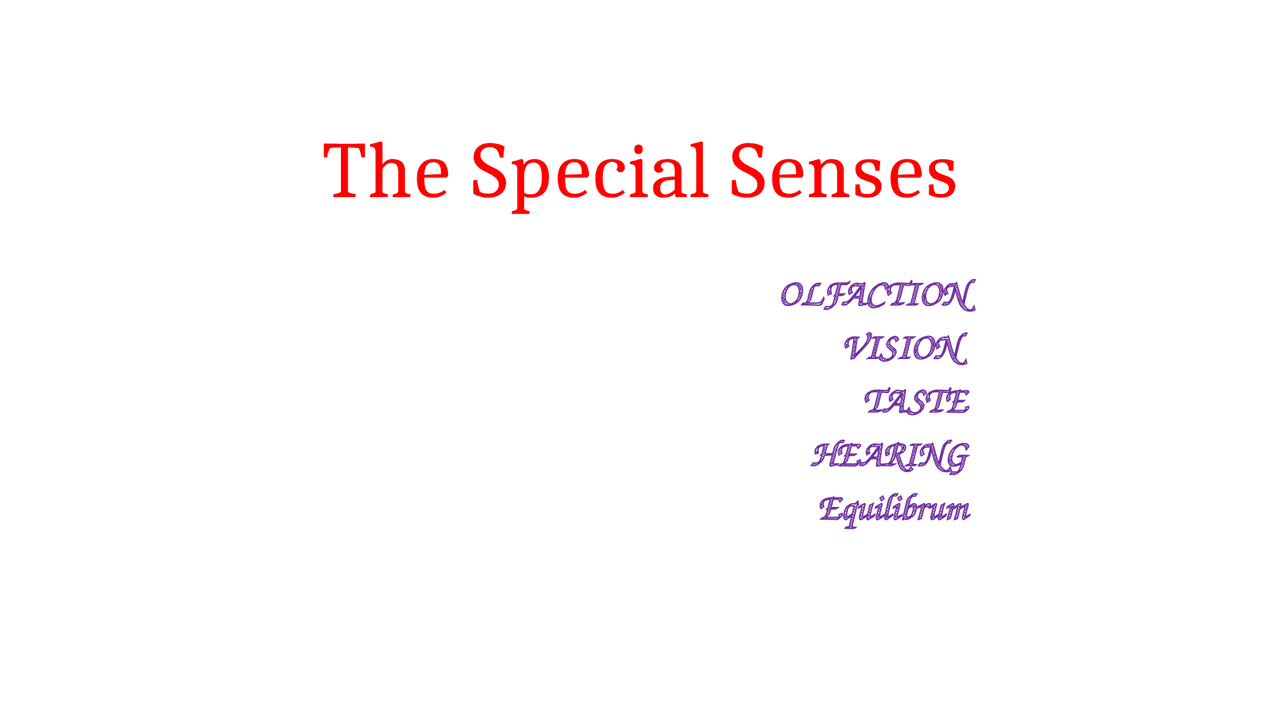 The Sensory System Information On The Lecture Notes Anatomy Docsity
