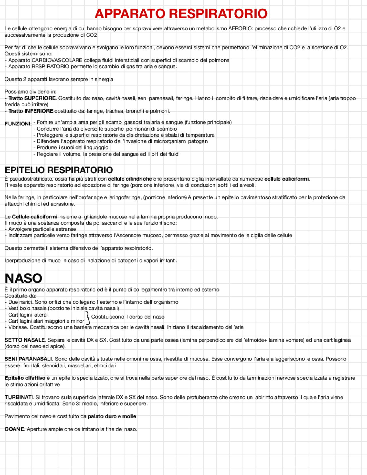 Apparato Respiratorio Docsity