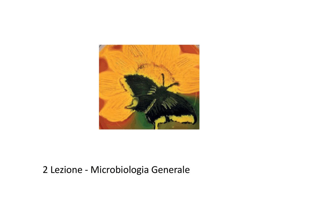 Slide Di Microbiologia Generale Slide Di Microbiologia Docsity