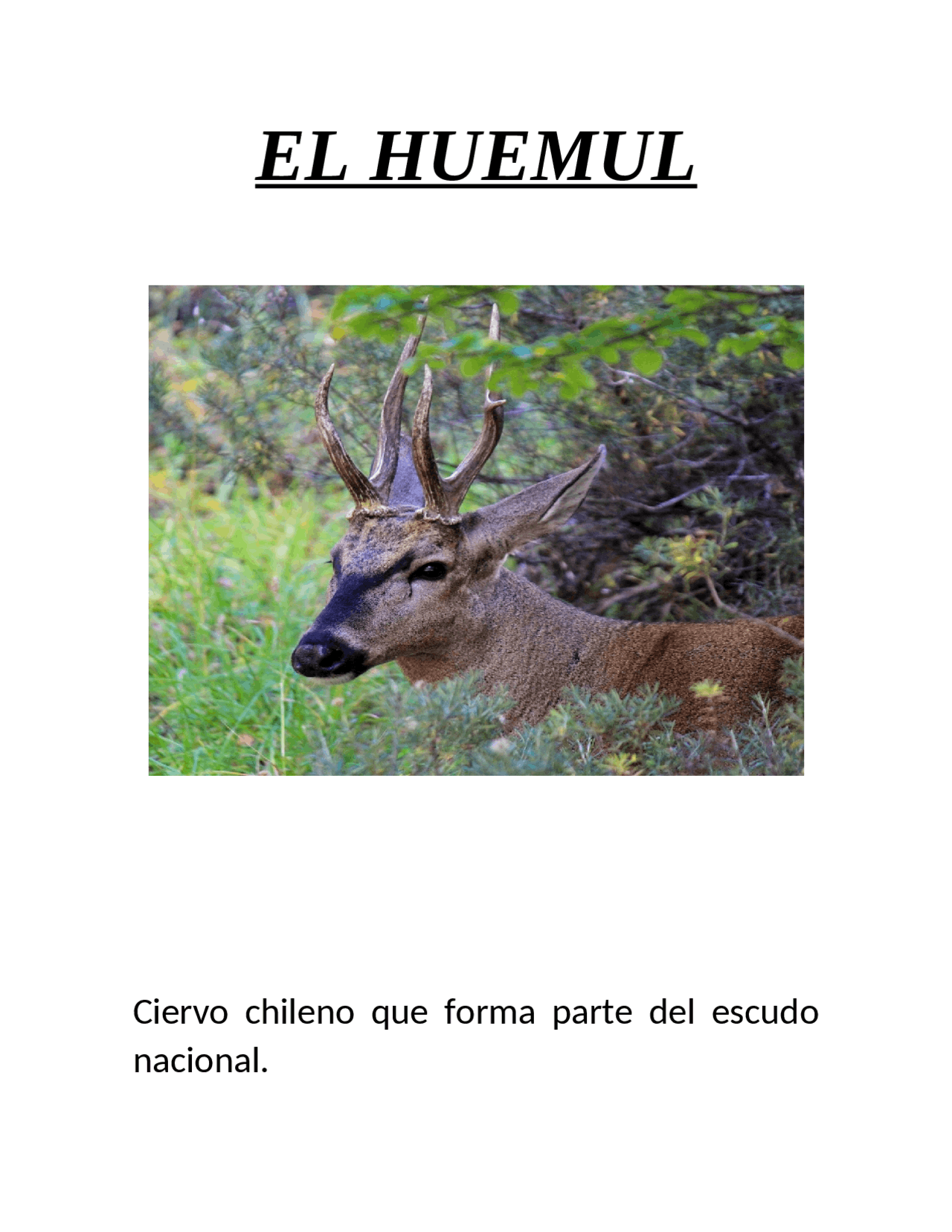 El Huemul y sus características - Docsity