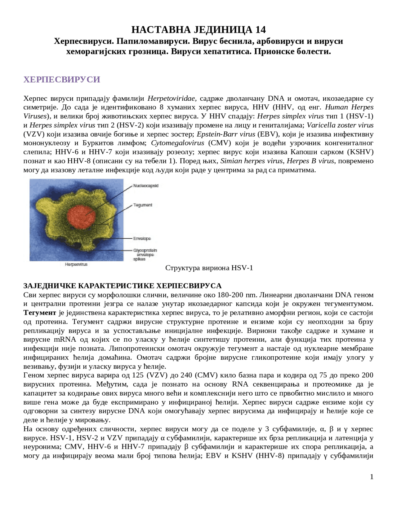 Mikrobiologija Virus Herpes Rezime Predlog Mikrobiologija Docsity