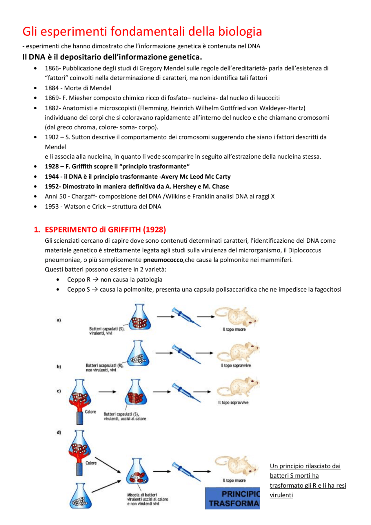 Appunti su esperimenti fondamentali della biologia - Docsity