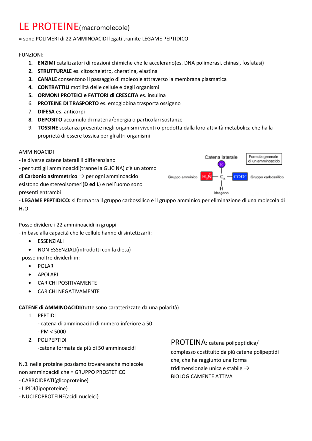 Appunti di biologia sulla struttura e sulla funzione delle proteine - Docsity