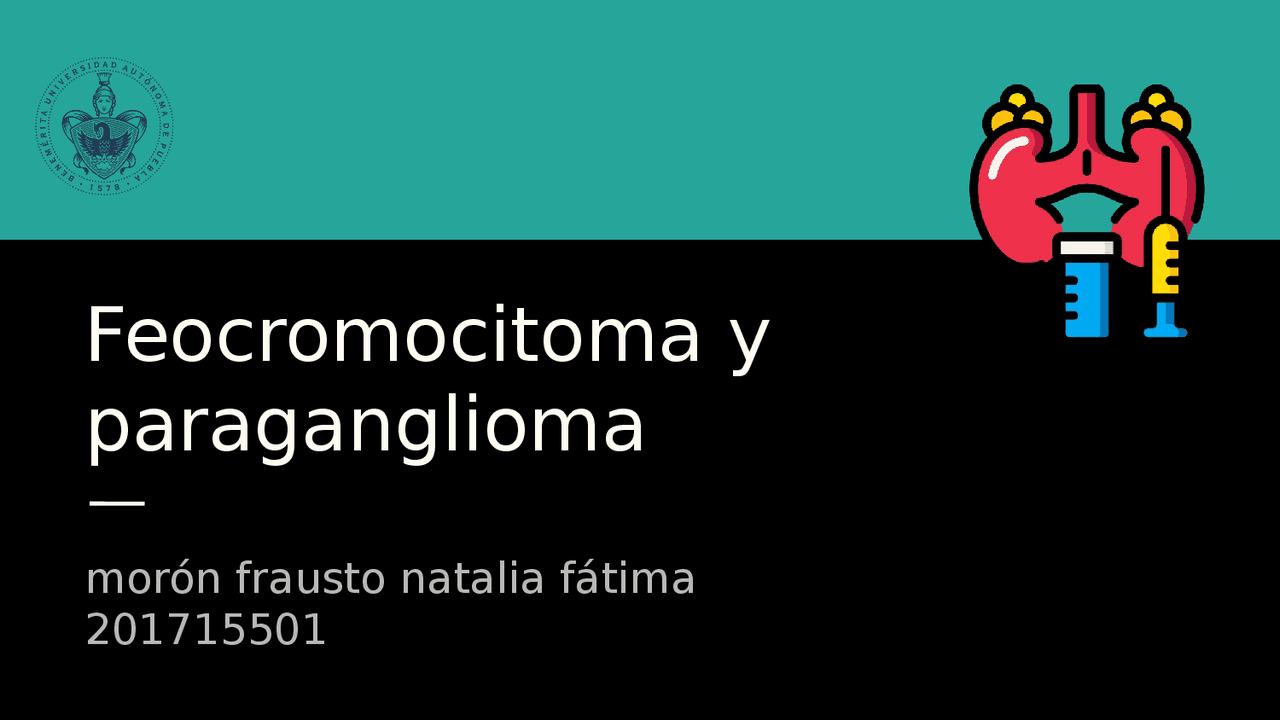 Feocromocitoma Y Paraganglioma Diapositivas De Endocrinología Docsity