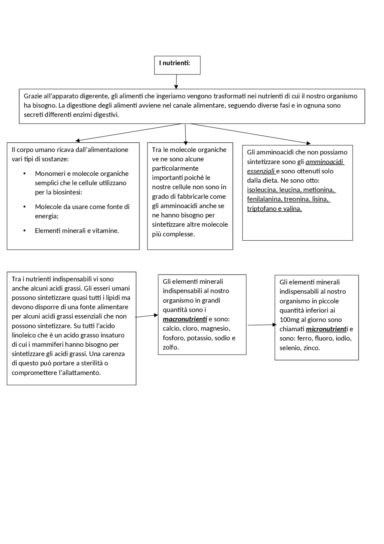 Mappe Apparato Digerente Schemi E Mappe Concettuali Di Biologia Docsity
