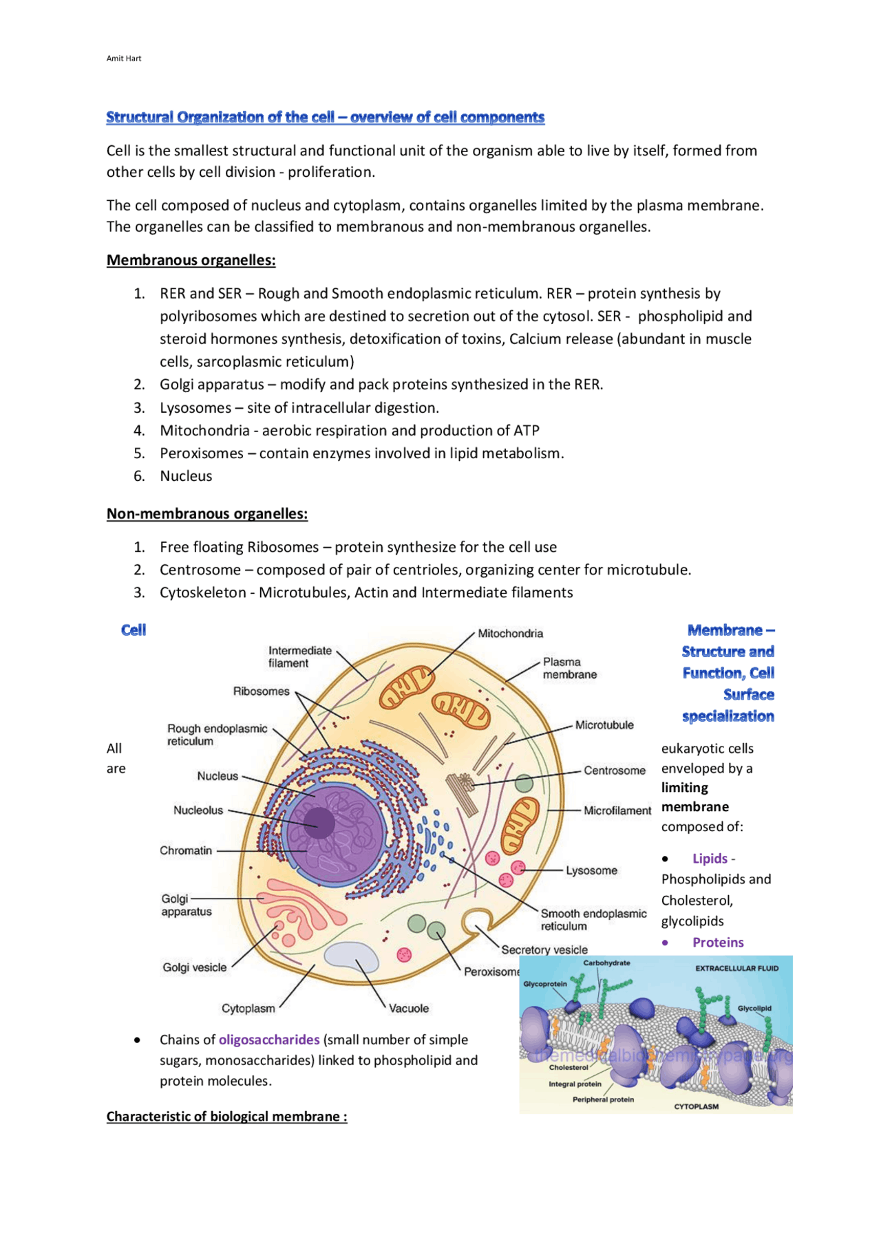 Cytology All-Inclusive Notes - Docsity
