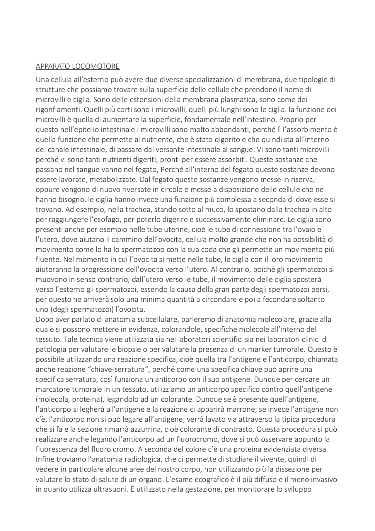 Anatomia Per Infermieristica Docsity