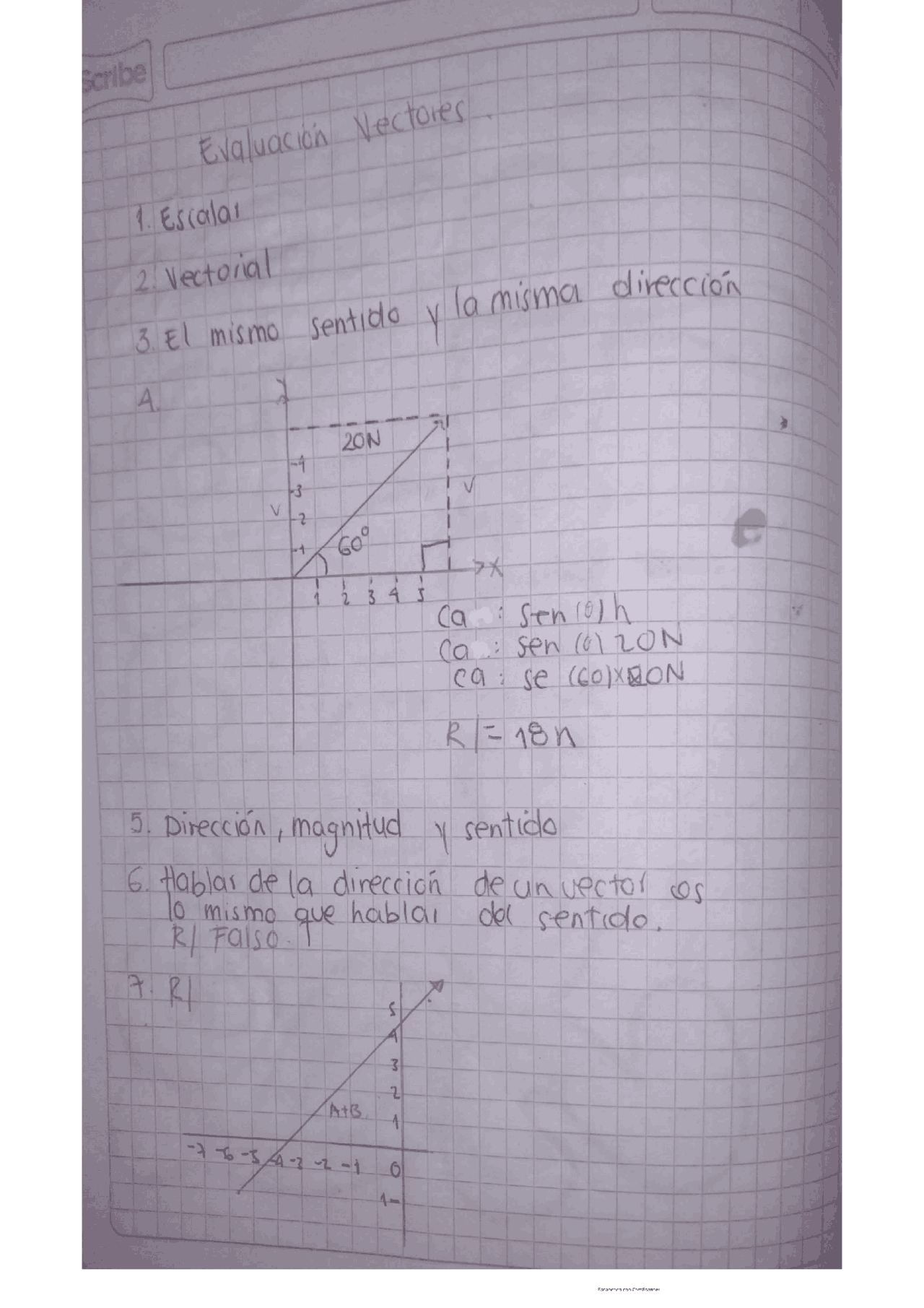 Prosesimiento de vectores - Docsity