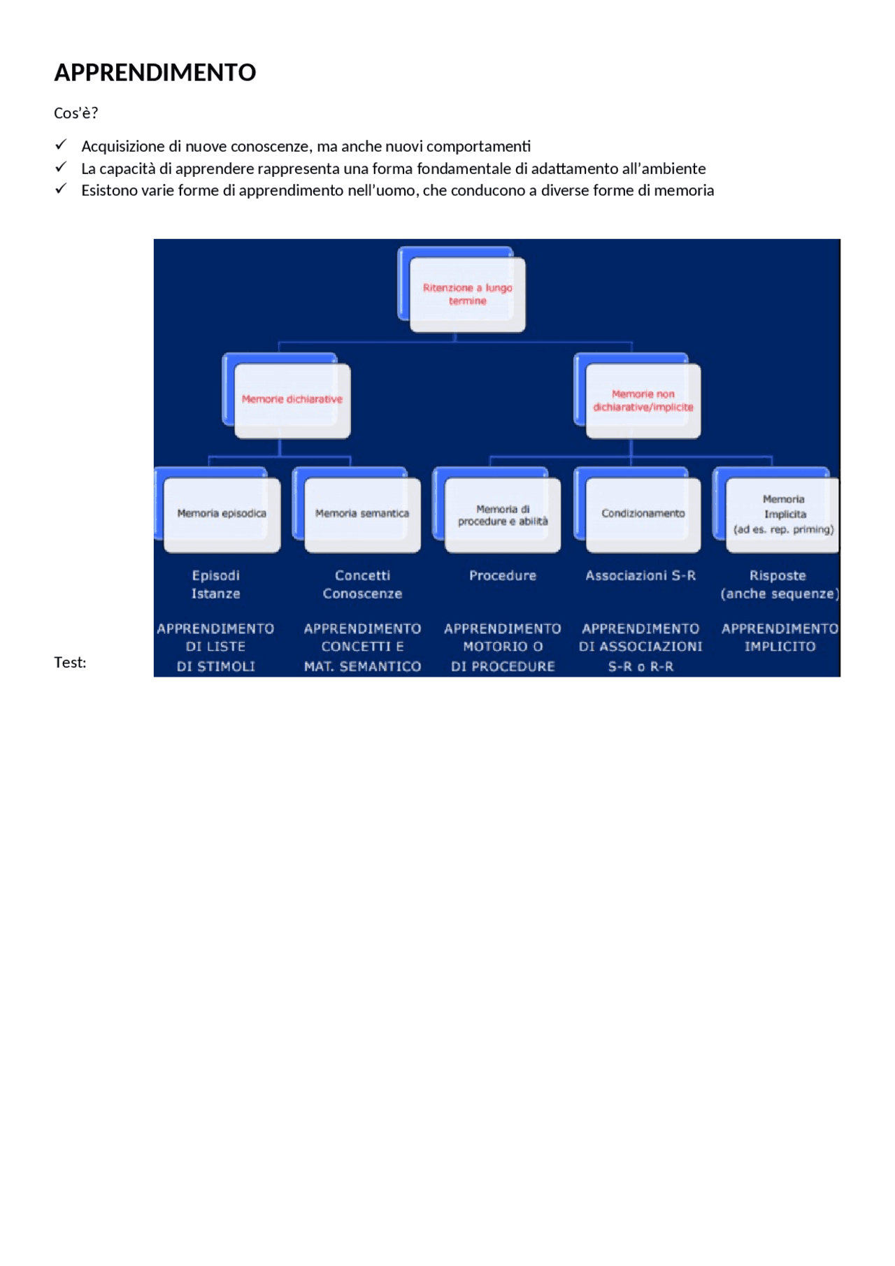 Apprendimento Memoria Docsity