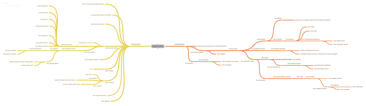 Schema Sulle Vene Cave E Ramificazioni Docsity