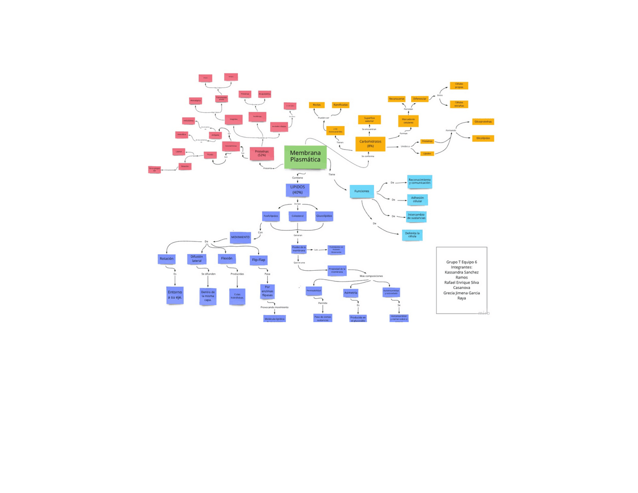 Membrana plasmatica, sus funciones, composición etc. | Study notes of ...