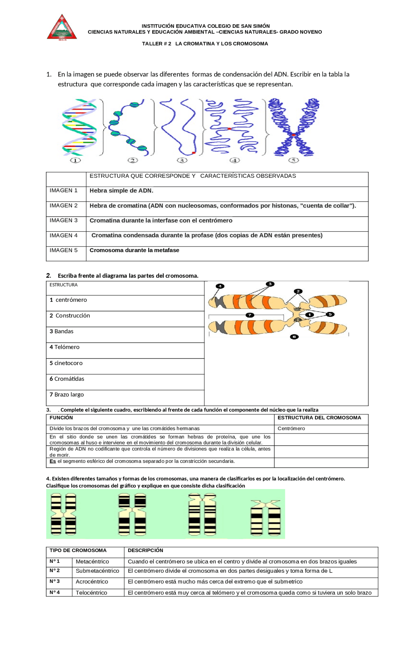 Hoja De Trabajo Sobre Cromosomas