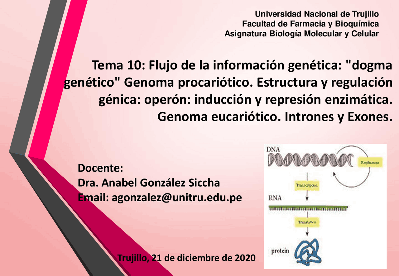 Flujo de la información genética-dogma genético - Docsity