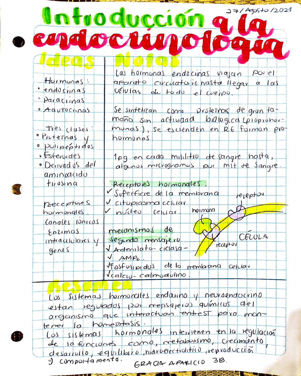 Introducción A La Endocrinólogia Docsity