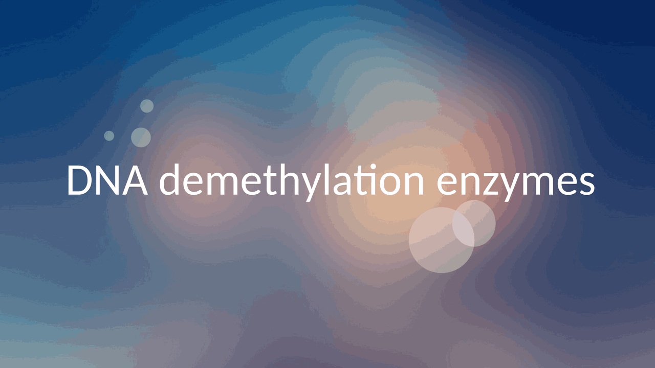 DNA demethylation enzymes - Docsity