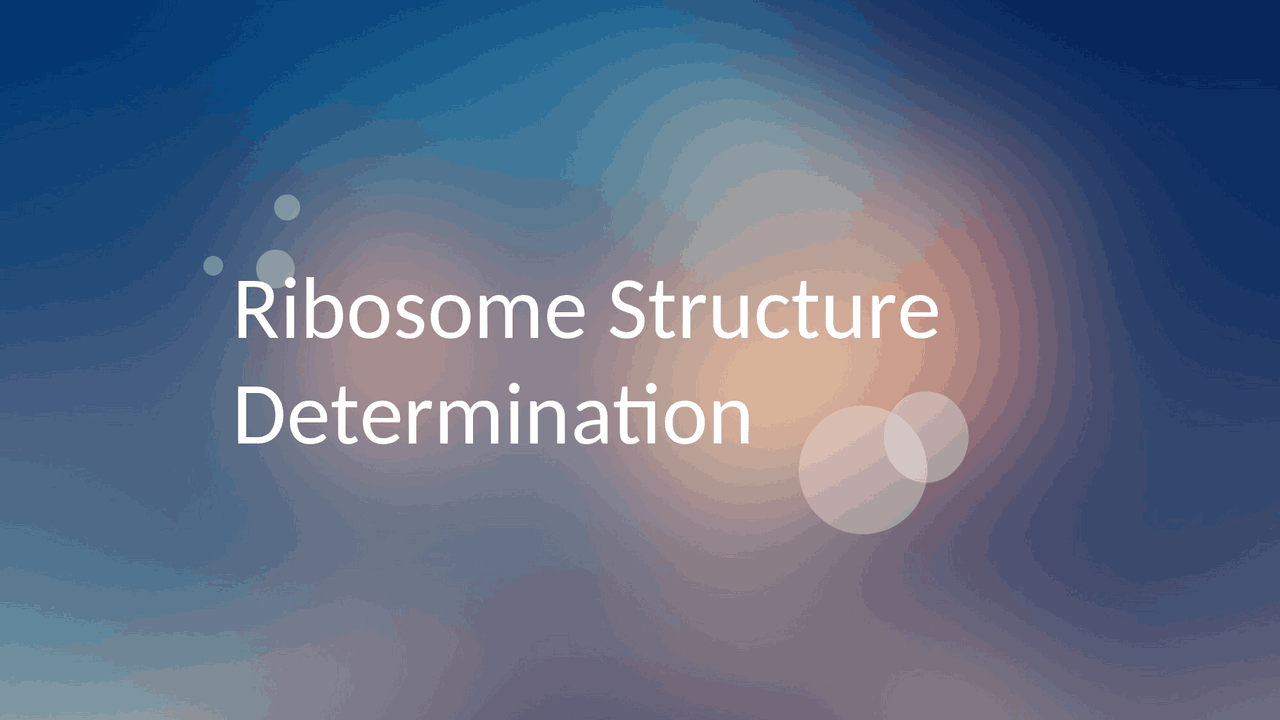 Ribosome Structure Determination Docsity