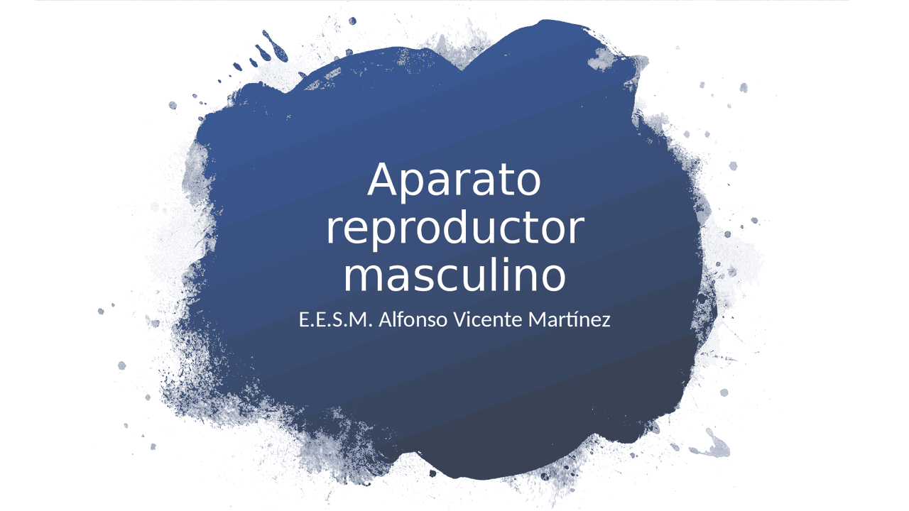 Aparato Reproductor Masculino Diapositivas De Anatomía Aplicada Docsity