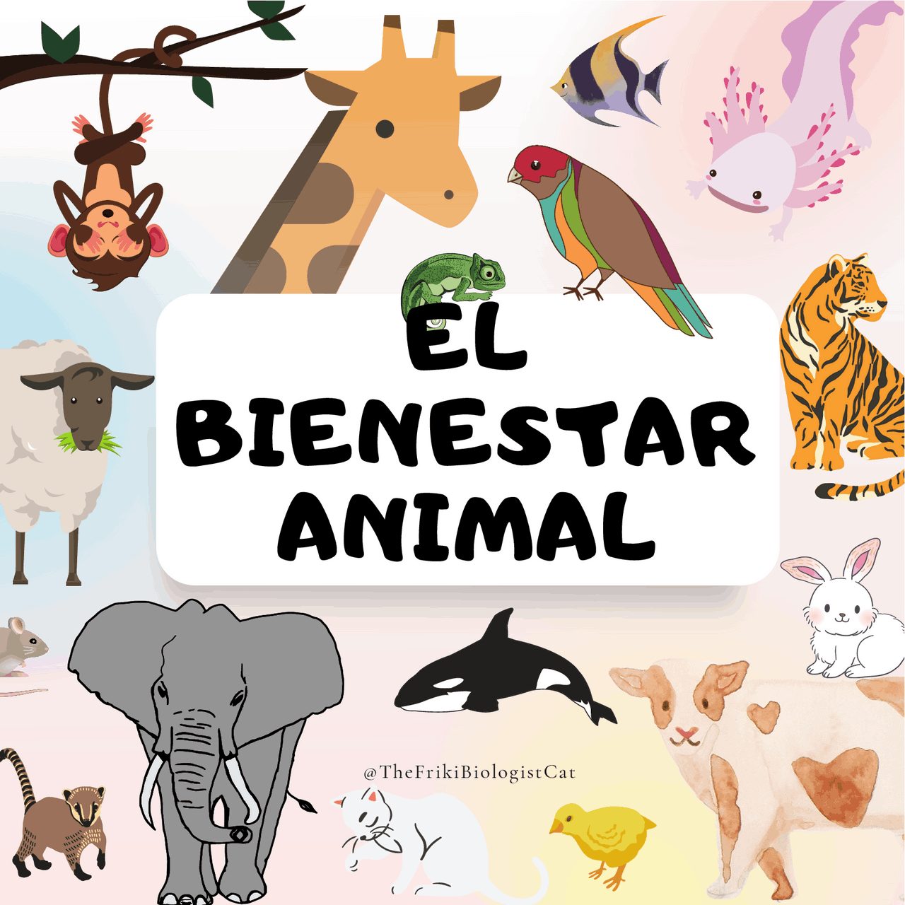 Definición de Bienestar animal - Docsity
