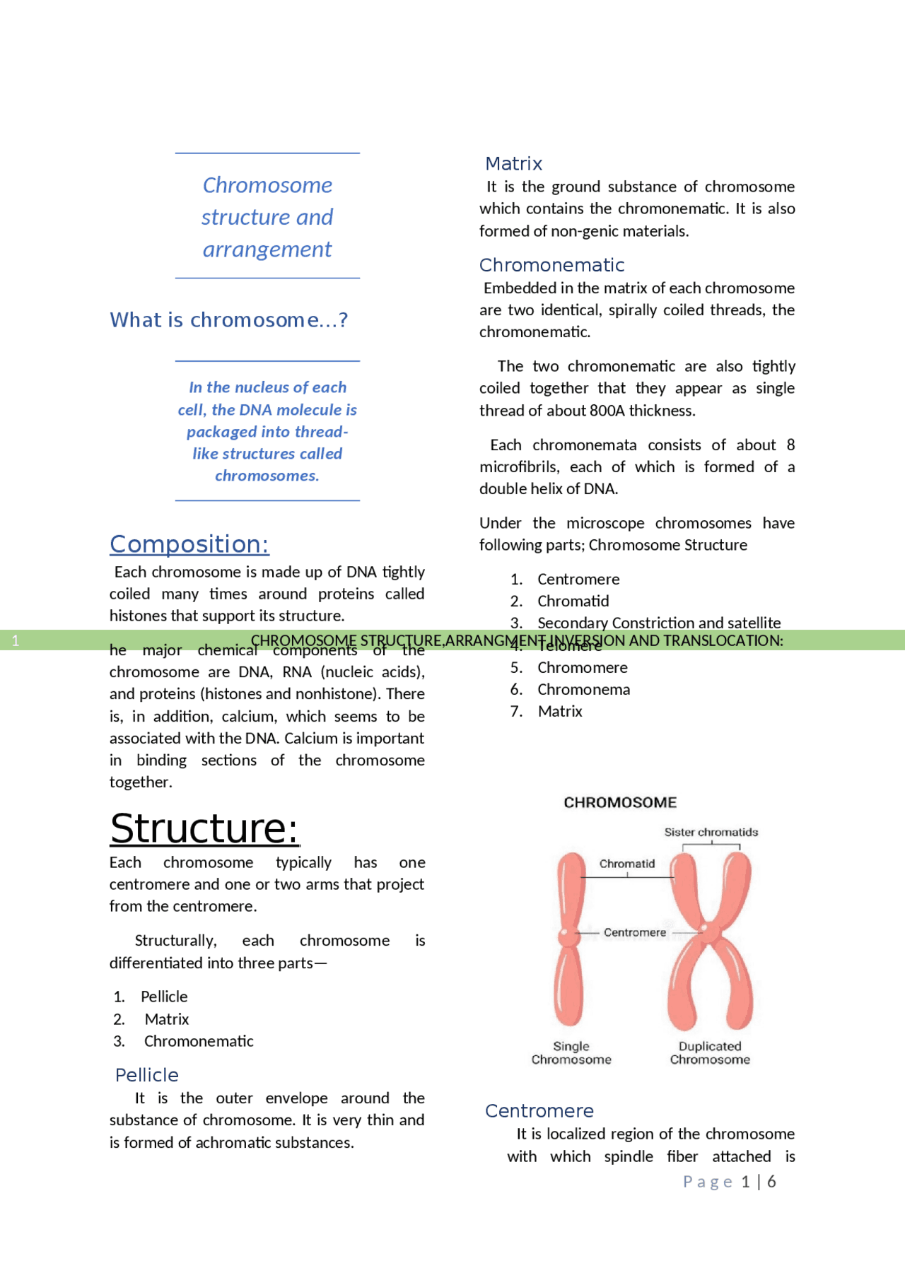 Structure of chromosomes inversion and translocation - Docsity