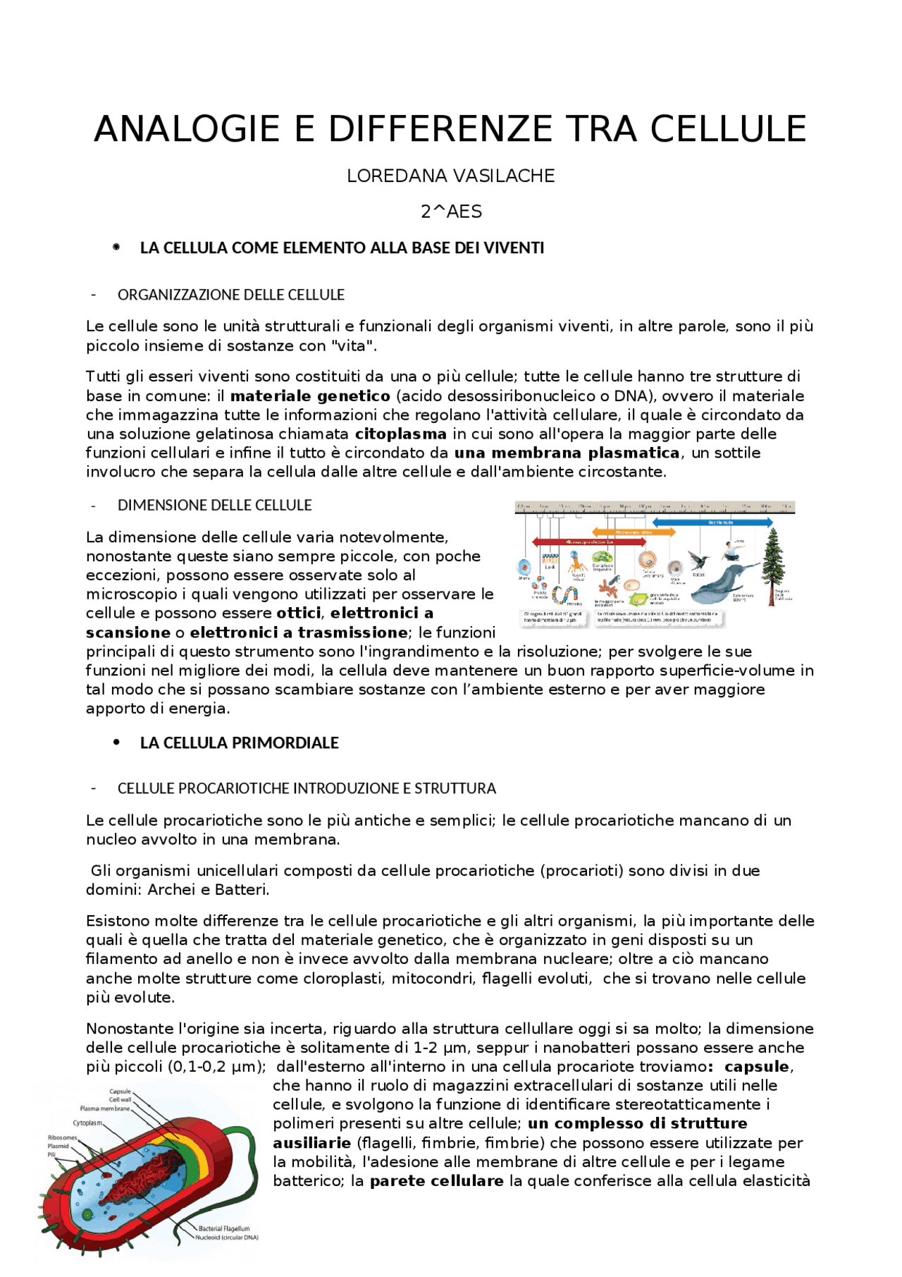 Analogie E Differenze Tra Cellule Docsity