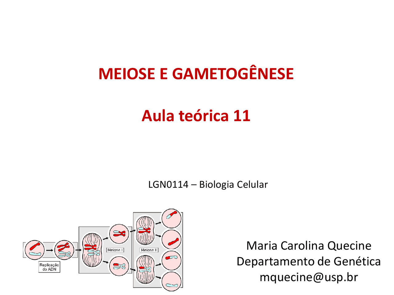Ciclo Celular Meiose E Mitose Docsity