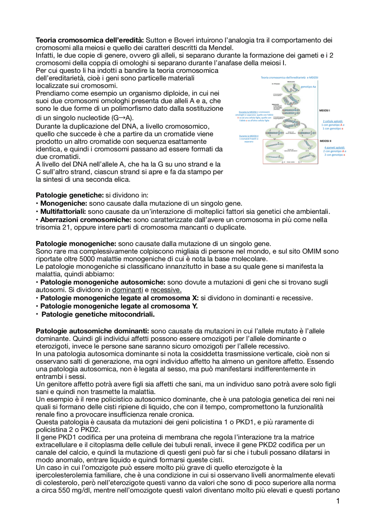 Schema Riassuntivo Sintesi Docsity