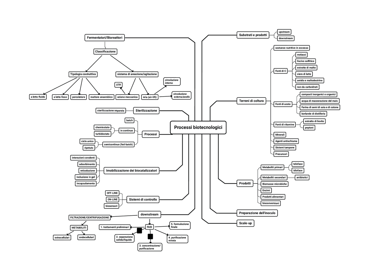Processi Biotecnologici Schemi E Mappe Concettuali Di Biologia