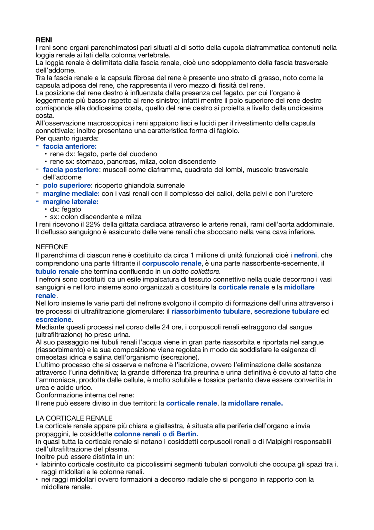 Riassunto Anatomia Esame Docsity