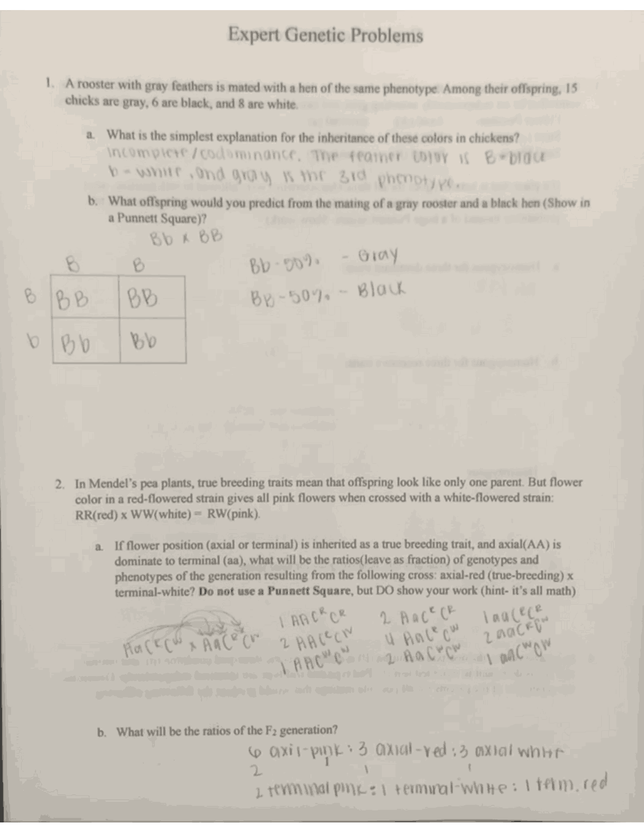 Expert Genetics Document Docsity