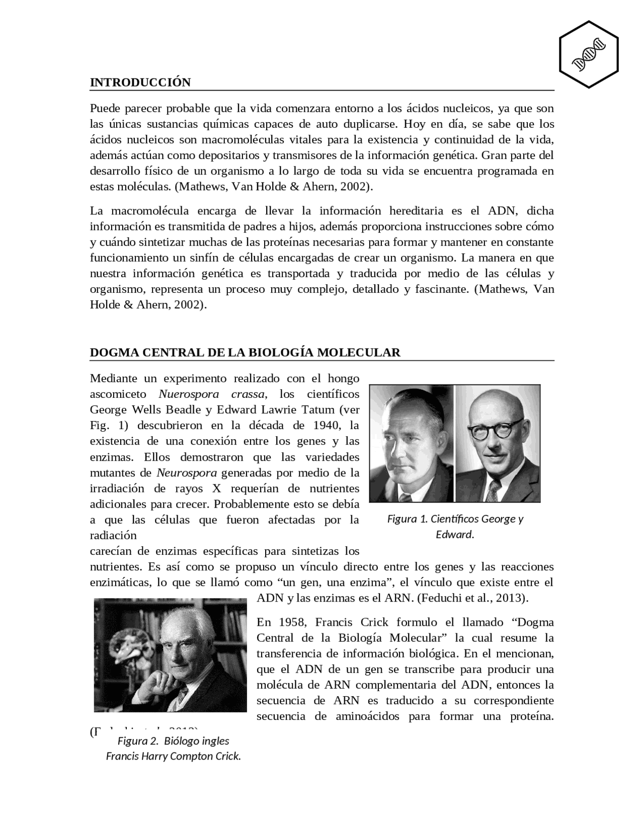 Acidos Nucleicos Bioquimica Docsity