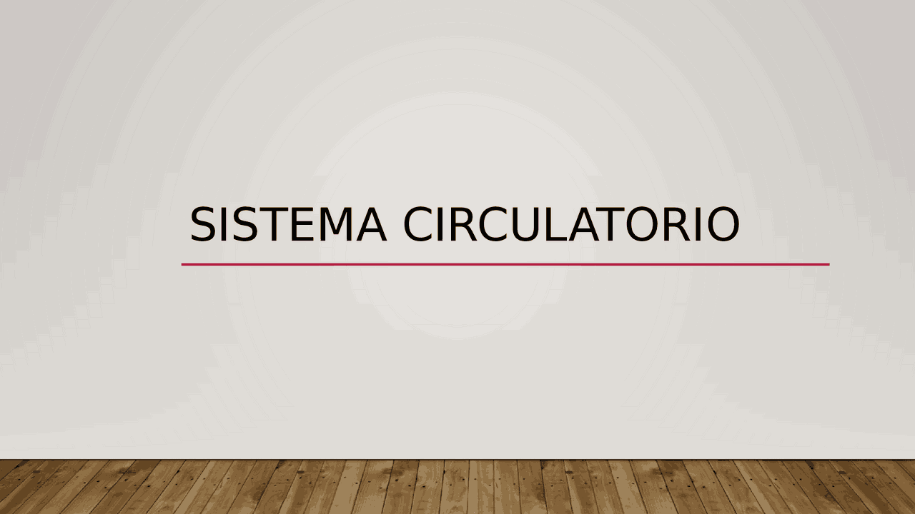 Sistema Circulatorio Docsity