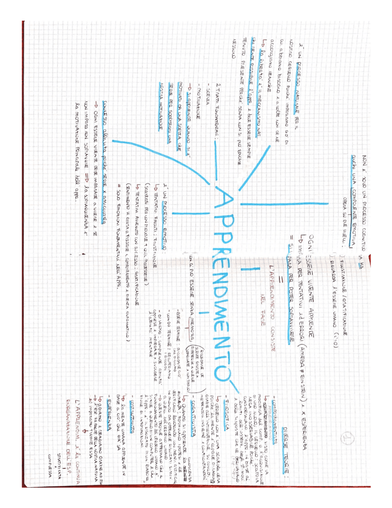 Schema Riassuntivi Di Avviamento Alla Pedagogia Docsity