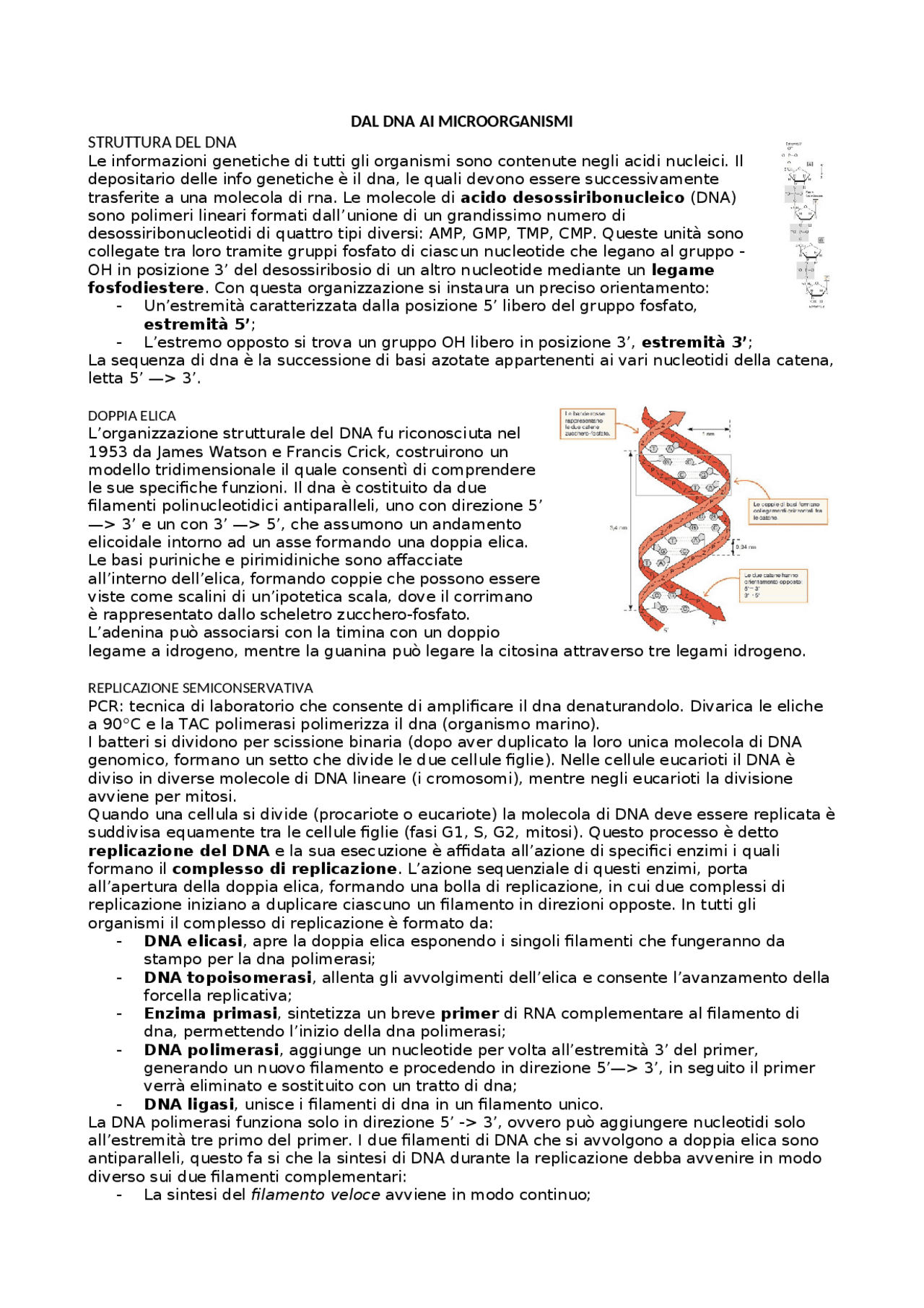 Struttura, organizzazione e funzioni DNA - Docsity